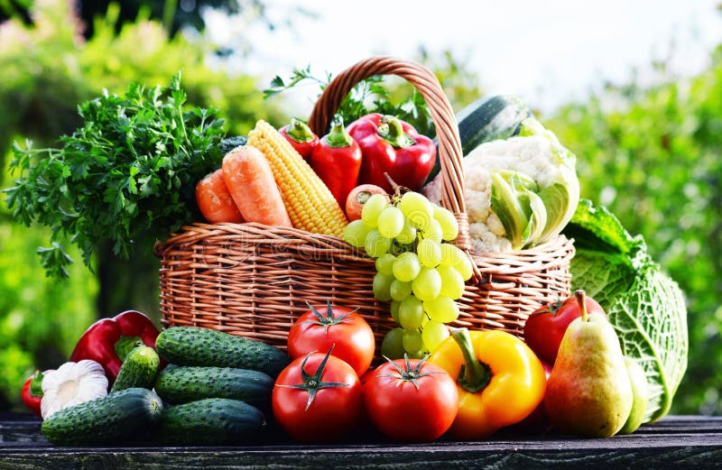 Wicker Basket with Assorted Raw Organic Vegetables in the Garden Stock ...