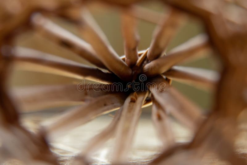 Wicker Basket of Branches Macro Photo on an Isolated Background Stock ...