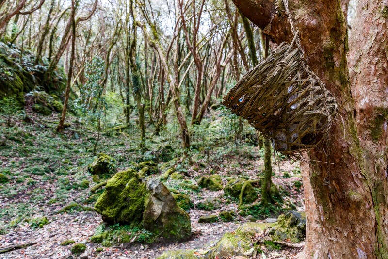 Wicker basket trash can stock image. Image of land, basket - 94570339