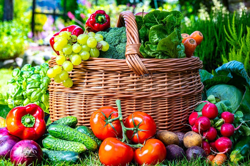 Wicker Basket with Vegetables and Fruits in the Garden Stock Photo ...