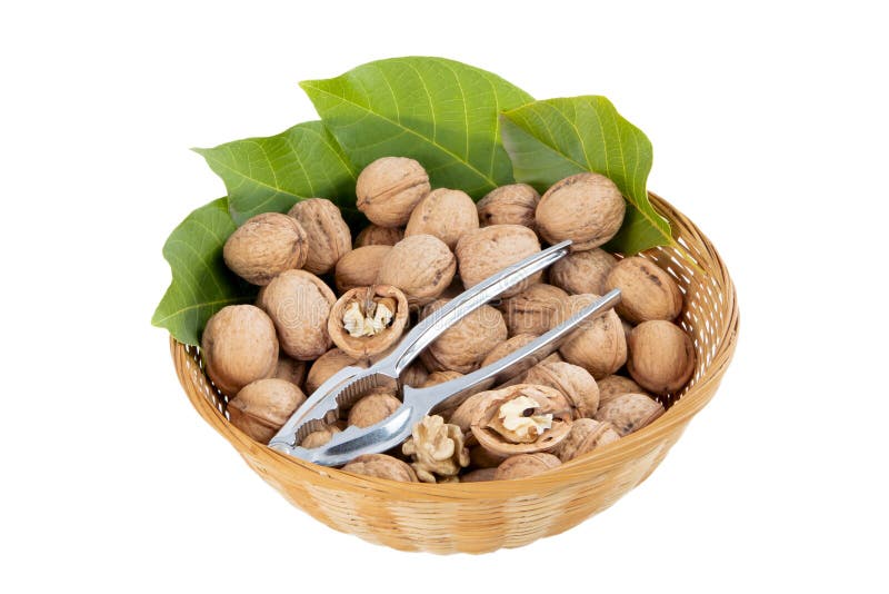 The Wicker Basket Walnuts and Nutcracker. Stock Photo - Image of ...