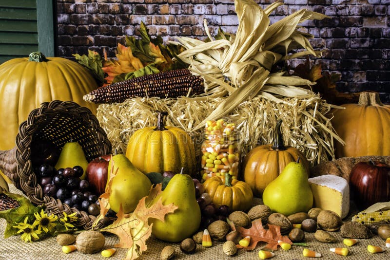 Cornucopia stock image. Image of food, green, brick, cheese - 98528991