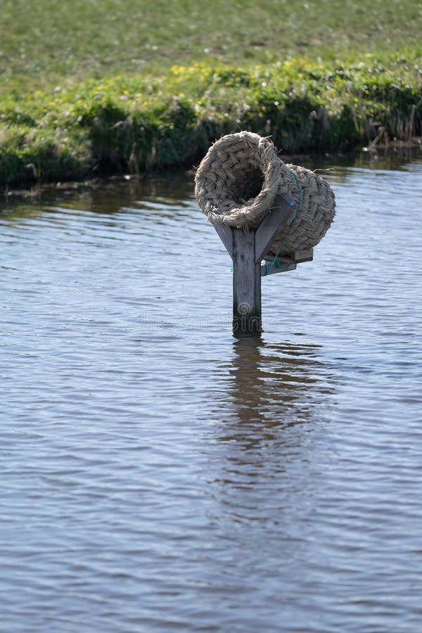Wicker Duck Basket on a Wooden Post in a Ditch Stock Photo - Image of ...