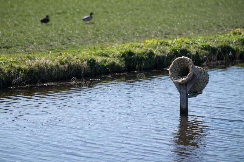 Wicker Duck Basket on a Wooden Post in a Ditch Stock Photo - Image of ...