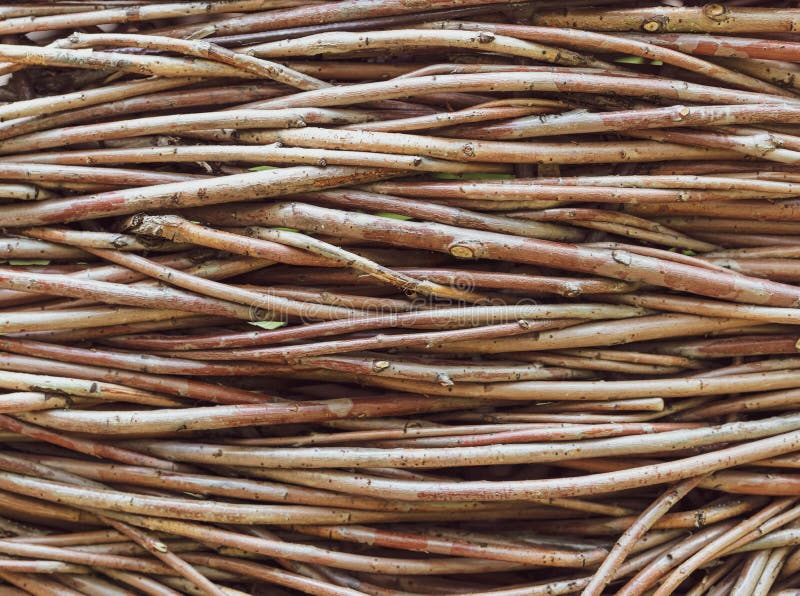 Wicker Tree Branches As an Abstract Stock Photo - Image of texture ...