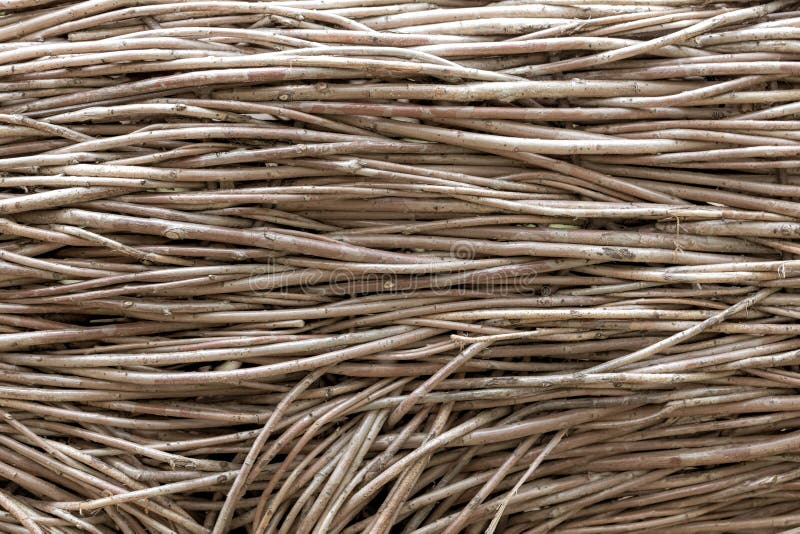 Wicker Tree Branches As an Abstract Stock Photo - Image of natural ...