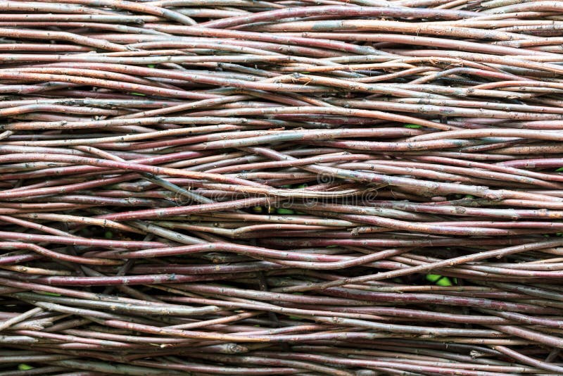 Wicker Tree Branches As an Abstract Stock Photo - Image of tree, craft ...