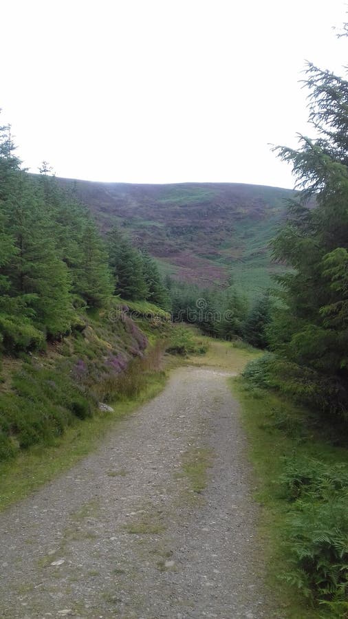 Wicklow Ireland Landscape Nature Stock Image - Image of nature, scenery ...