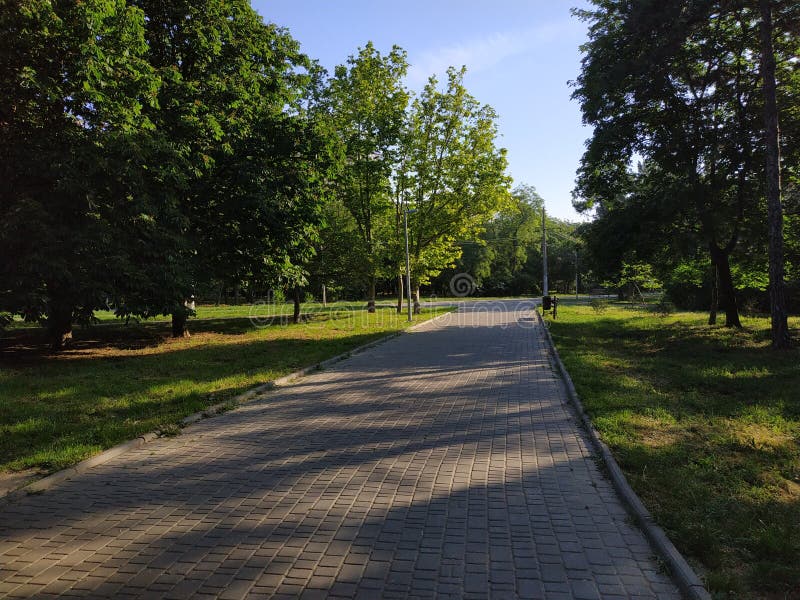 Wide Alley in a Beautiful Spring Park Stock Image - Image of leaf ...