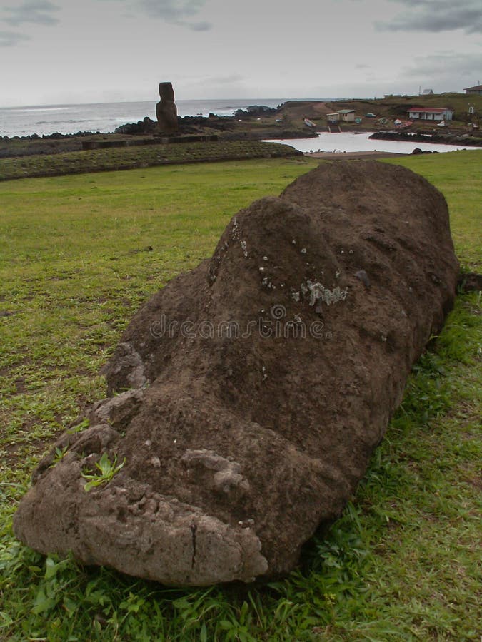 Moai fallen face down stock photo. Image of travel, moai - 73849156