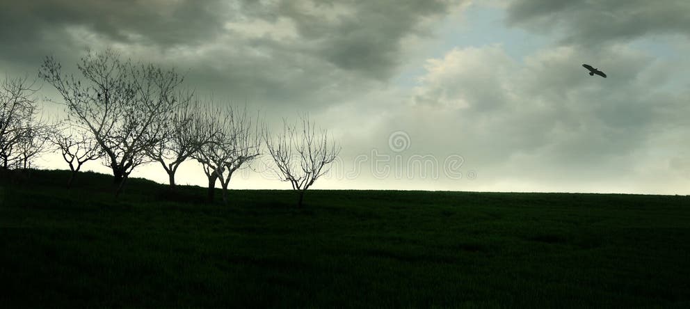 Wide Angle Landscape in Backlight Stock Photo - Image of season ...