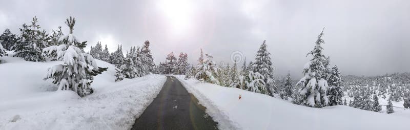 Wide Angle Panoramic of Winter Landscapes in Nature Stock Image - Image ...