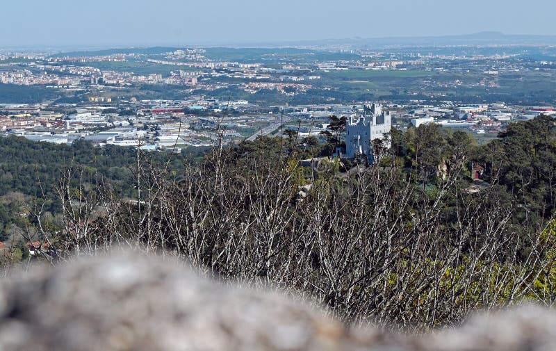 Wide Angle Shot of a Building Surrounded by Trees and Grass Stock Photo ...