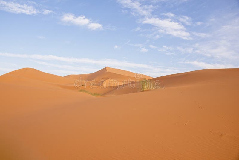 Wide Angle Shot of a Large Desert Under the Sun Stock Image - Image of ...