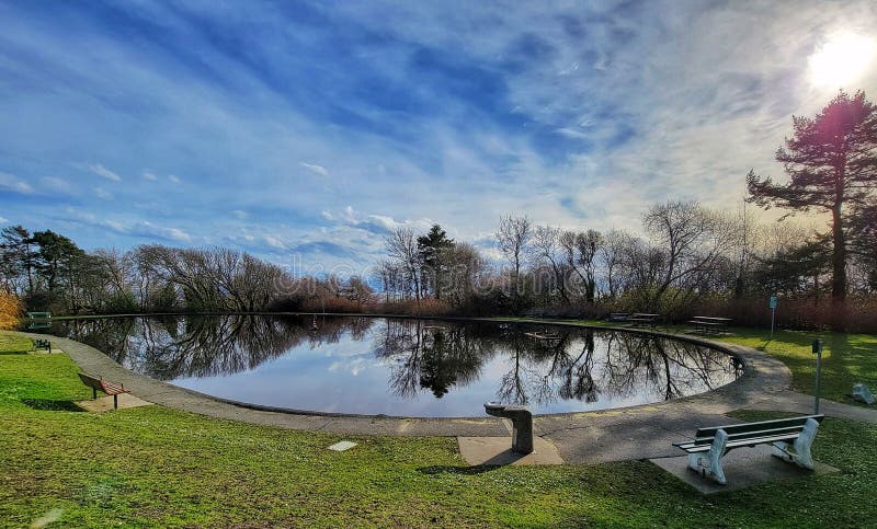 Wide-angle Shot of a Pond in an Empty Park Surrounded by Beautiful ...