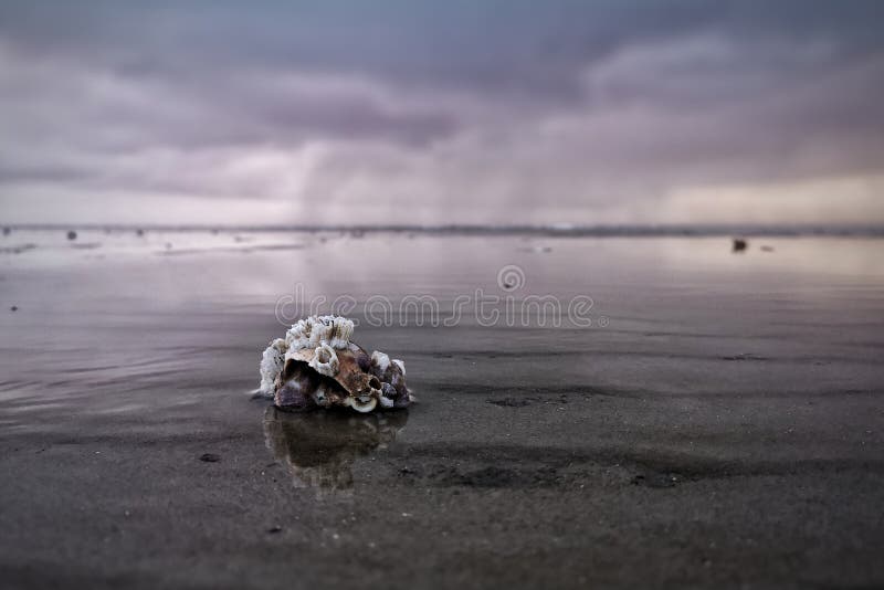 Wide Angle Shot of Stone Left on the Sand Around the Beach Under a ...