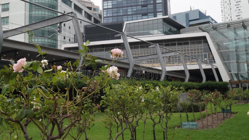 Wide Angle Train Station and Roses. Stock Photo - Image of wide ...