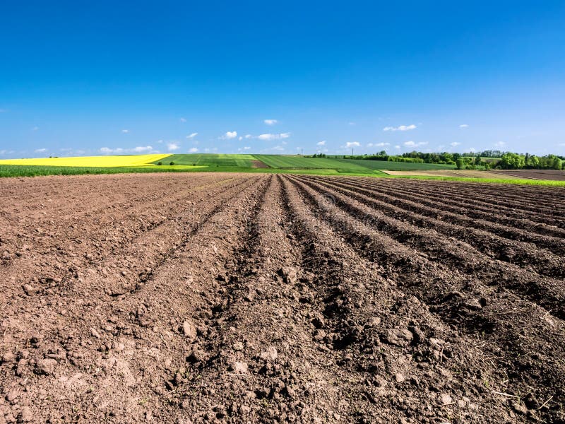 Wide Angle View of Arable Field Stock Photo - Image of crops, clouds ...