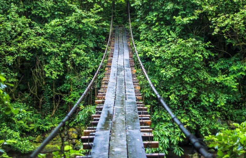 Wide-angle View of the Cable Bridge Over the River in Georgia Stock ...
