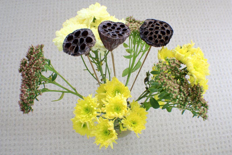 Wide angle view of flowers stock image. Image of black - 26796747