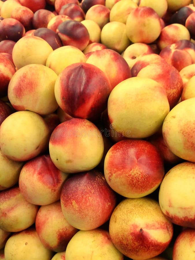 Wide Angle View of Fresh Organic Yellow and Red Nectarines Stock Image ...