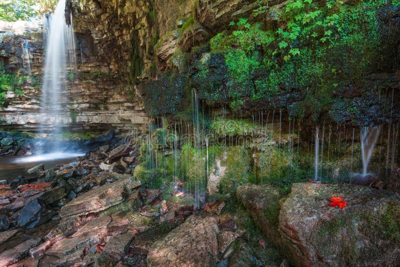 A Wide-angle View of the Waterfall with a Red Leaf Stock Photo - Image ...