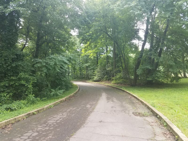 Wide Asphalt Road or Path with Trees Stock Image - Image of curb, trees ...