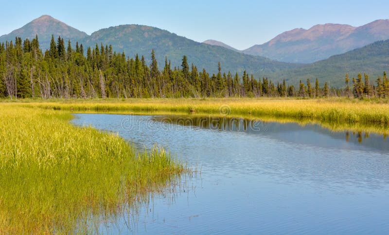 Wide Stream Flowing into Portage Glacier Lake Stock Image - Image of ...