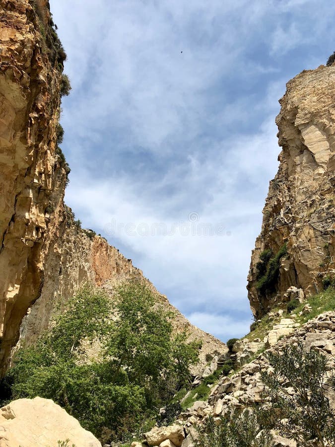 Wide canyon in Cyprus stock image. Image of park, mountain - 117759189