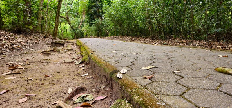 Wide Concrete Path in the Middle of the Mountains Stock Photo - Image ...