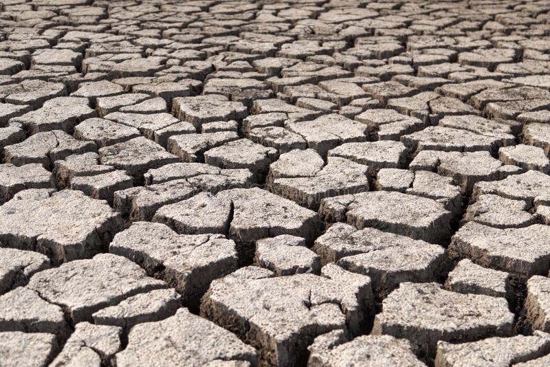Wide Cracks in Dry Soil with Green Coast in Background, Dry Lake with ...