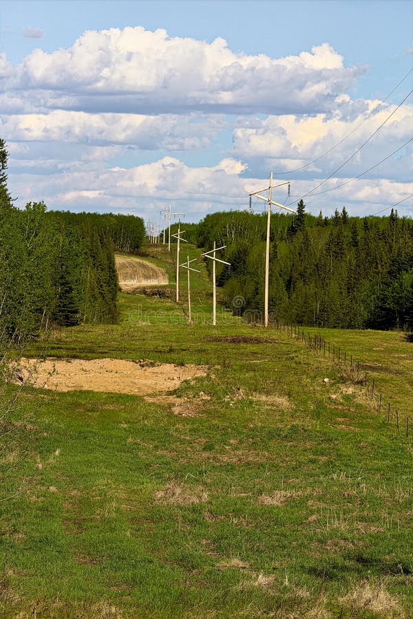 A Wide Cut-line through Rural Farmland Stock Image - Image of farm ...