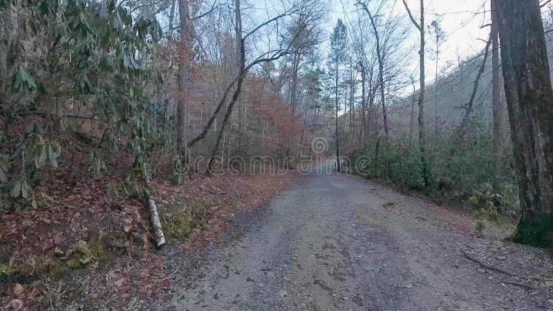Wide and Empty Trail at Deep Creek Stock Footage - Video of water ...