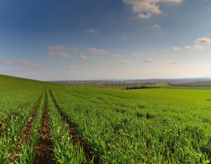 Wide and Expansive Spaces Featuring Elements Like a Wide Horizon, Open ...