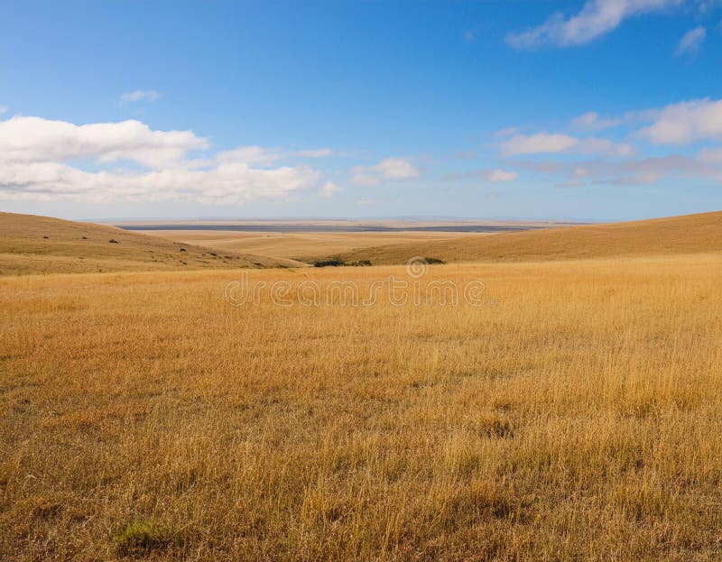 Wide and Expansive Spaces Featuring Elements Like a Wide Horizon, Open ...