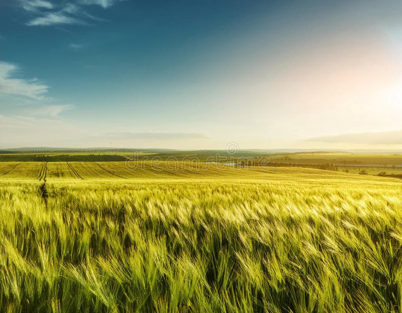 Wide and Expansive Spaces Featuring Elements Like a Wide Horizon, Open ...