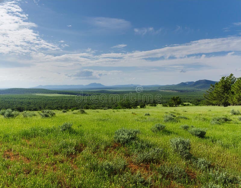 Wide and Expansive Spaces Featuring Elements Like a Wide Horizon, Open ...