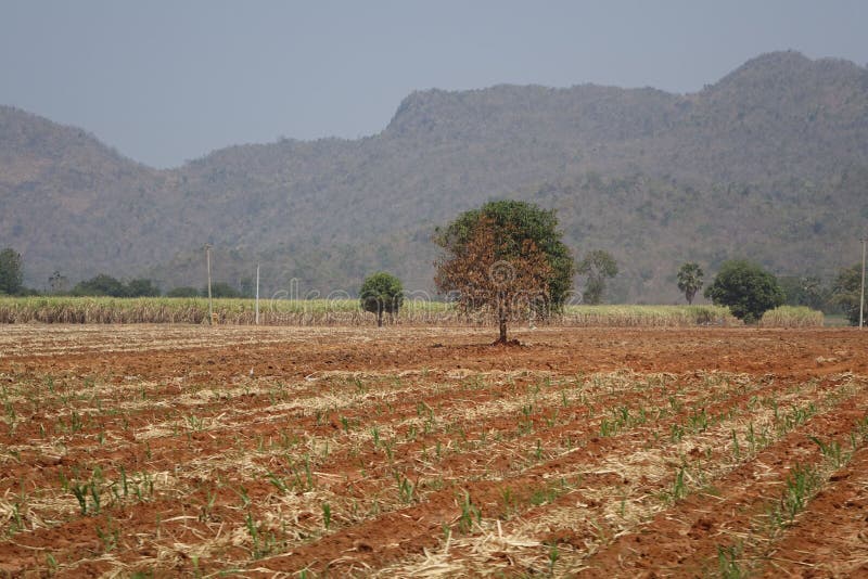 Wide Farm Field on a Gloomy Day Stock Image - Image of farm ...