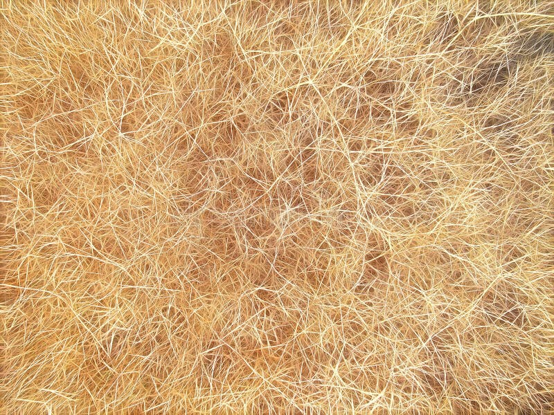 Wide Fibrous Background stock illustration. Illustration of texture ...