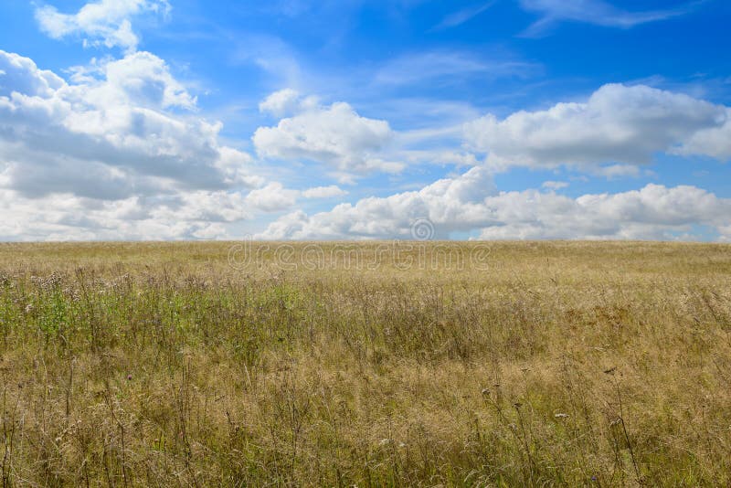 Wide Field and Blue Sky with Clouds Stock Photo - Image of blue ...