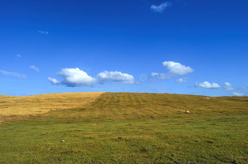 Wide field stock photo. Image of plain, grass, natural - 35327234