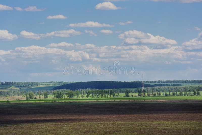 Wide Field with Distant Trees and Blue Sky with White Clouds Stock ...