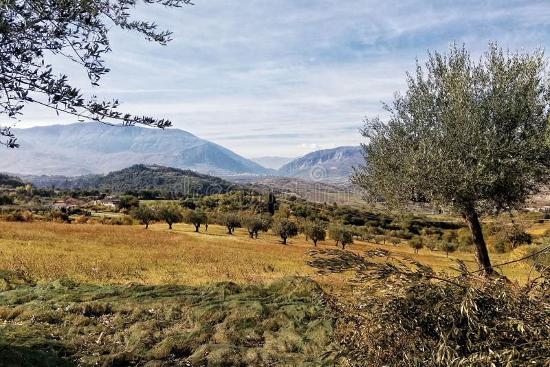 Wide Field with Dried Grass and Green Trees Stock Image - Image of peak ...