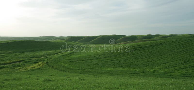 Wide field hills stock photo. Image of rural, environment - 221229132