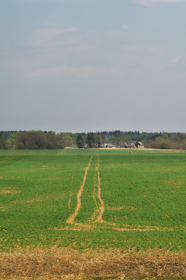 Wide Field and the Sky Nature Background Stock Photo - Image of pasture ...