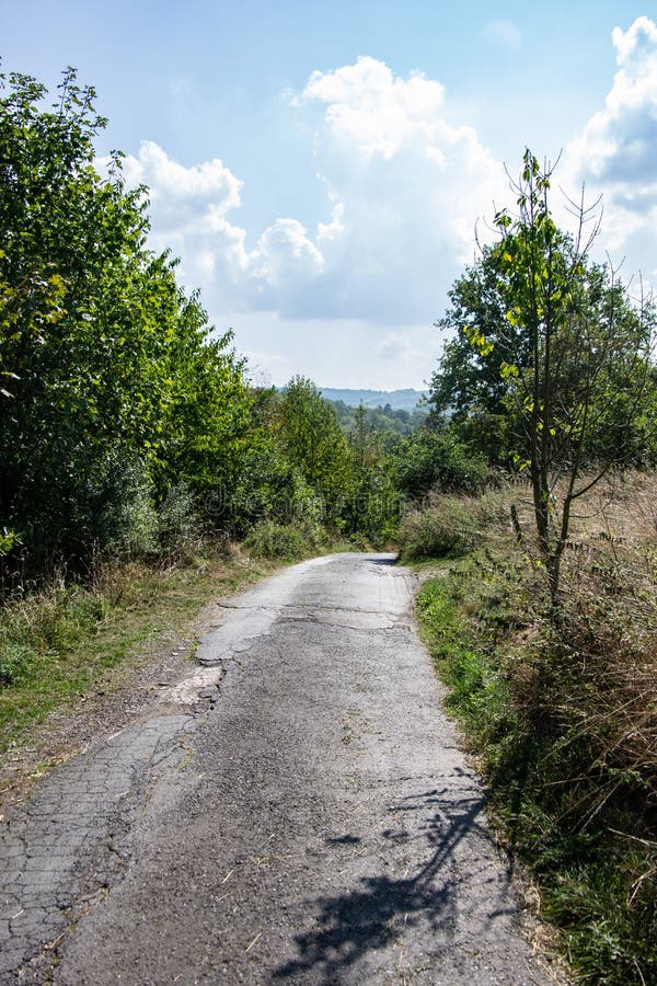 495 Narrow Path Wide Path Photos - Free & Royalty-Free Stock Photos ...