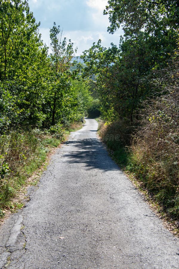 603 Narrow Path Wide Stock Photos - Free & Royalty-Free Stock Photos ...