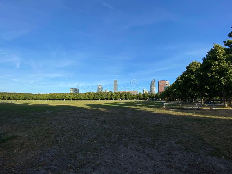 Wide Green Field with a Tree Shade Stock Image - Image of country ...