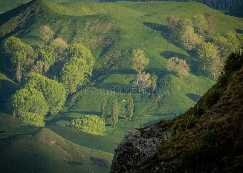 Wide Green Field and Trees in the Mountain Stock Image - Image of cloud ...