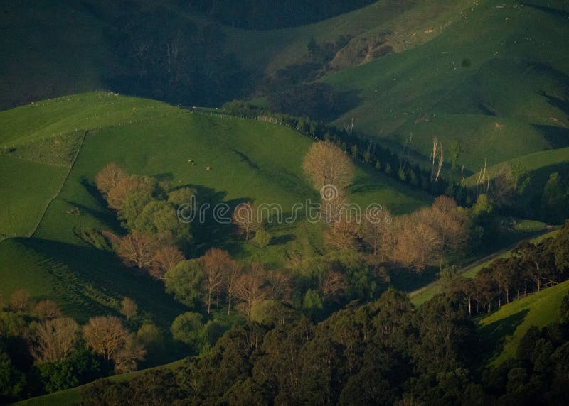 Wide Green Field and Trees in the Mountain Stock Photo - Image of ...
